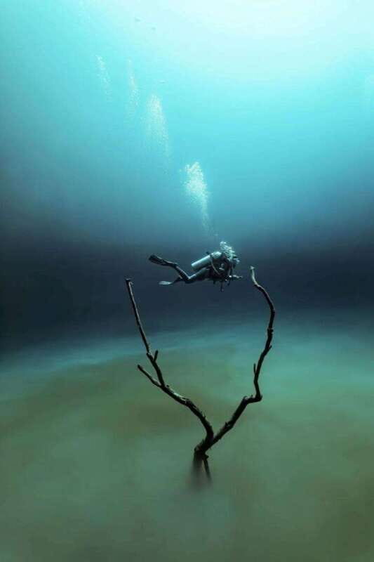 From Cancun: Angelita and Taj Ma Ha Cenote Diving Experience - Why Choose This Experience?