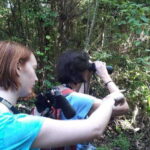From Cancun: Bird Watching Day Tour - Who Will Love This Tour?