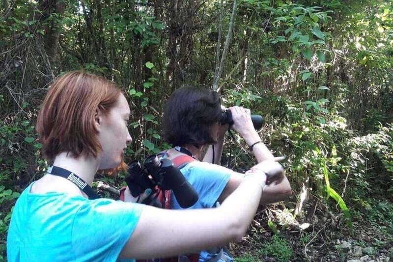 From Cancun: Bird Watching Day Tour - Who Will Love This Tour?