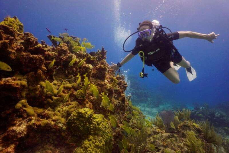 From Cancun: Chac Mool Cenote Diving Experience - What Makes Cenote Chac Mool Special?