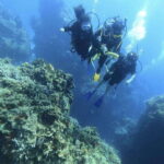 From Cancun: Diver Courses in Cozumel - What You Can Expect During the Course