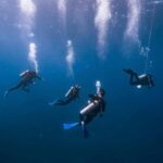 From Cancun: Enjoy a catamaran tour of Islas Mujeres with buffet lunch - The Practicalities: What’s Included and What’s Not