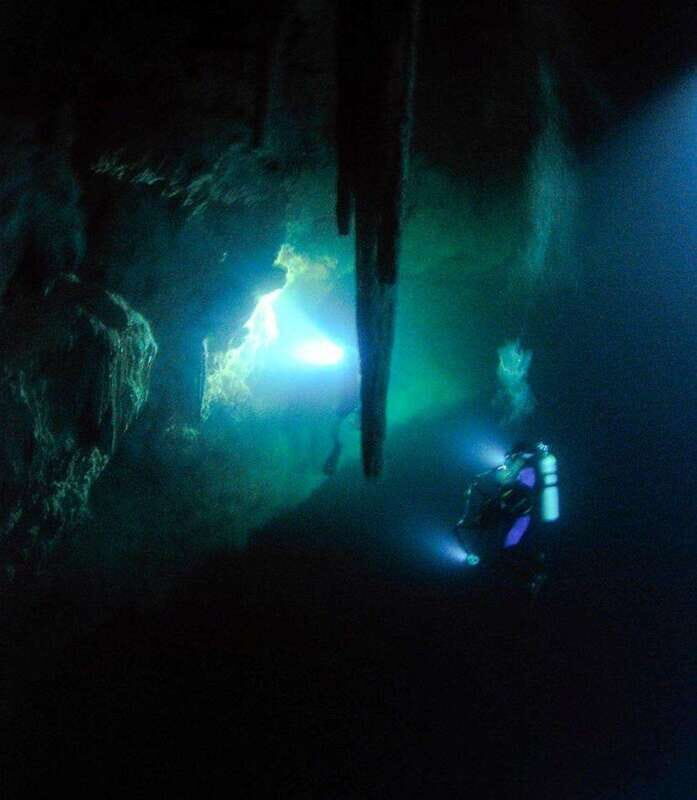 From Cancun: Fast Boat Cozumel Diving Experience - Why Choose This Tour?
