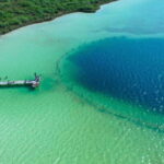 From Cancun: Kaan Luum with Cenotes & Lunch ECO - A Deep Dive into What You’ll Experience