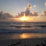 From Cancun: Ocean Reef Snorkeling - Who Is This Tour Best For?