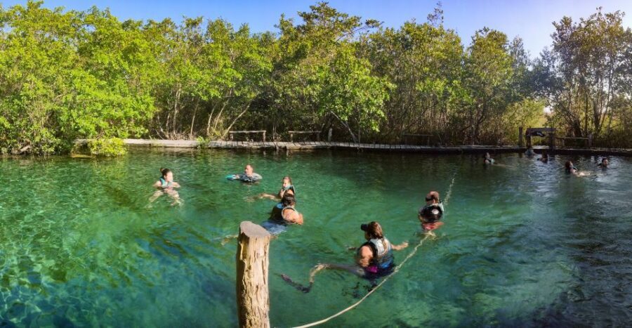 From Cancun or Puerto Morelos: Holbox Boat Tour with Lunch - The Itinerary in Detail
