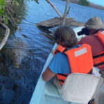 From Cancun: Rio Lagartos and Las Coloradas Day Trip - Detailed Breakdown and Practical Tips