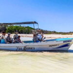 From Cancún: Rio Lagartos & Las Coloradas Day Trip & Lunch - Detailed Itinerary Breakdown