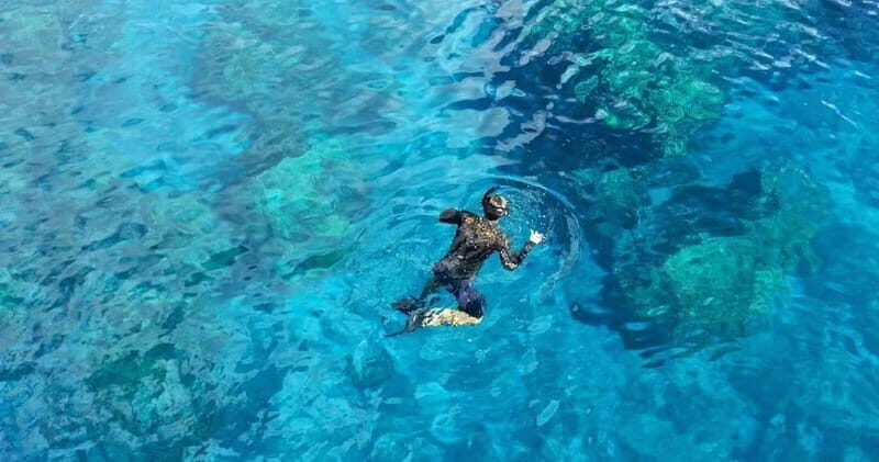 From Cancun: Snorkeling Cozumel Reefs - An In-Depth Look at the Itinerary