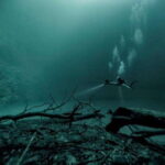From Cancun: The Pit and Dos Ojos Cenote Diving Experience - The Experience for Different Travelers