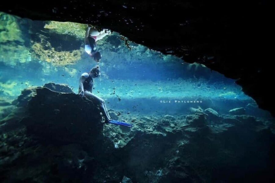 From Cancun: Whale Sharks Snorkeling - FAQ