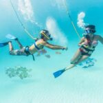 From Cancun: Xcaret Park All-Inclusive - The Itinerary Breakdown