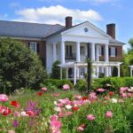 From Charleston: Boone Hall Plantation Entry with Transfers - Key Points