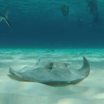 From Cozumel: 3 Reefs Boat Tour with Drinks and Snorkeling - Itinerary Breakdown