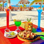 From Cozumel: Chankanaab Park Day pass with Open Bar & Lunch - Why This Tour Could Be a Great Choice