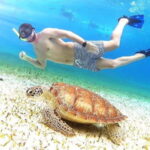 From Cozumel: El Cielo Beach by Catamaran Snorkeling Tour - Who Will Love This Tour?