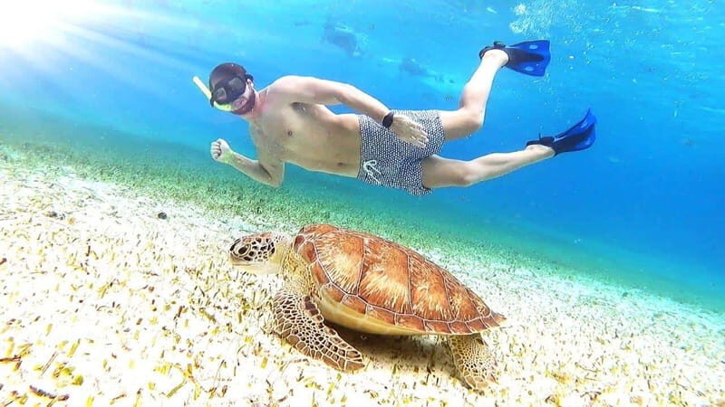 From Cozumel: El Cielo Beach by Catamaran Snorkeling Tour - Who Will Love This Tour?