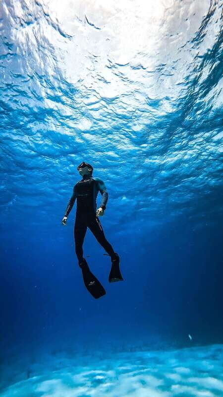 From Cozumel: Snorkel Private Charter to el Cielo & Cielito - What to Expect When You Join