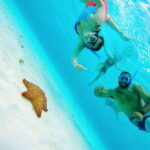 From Cozumel: Starfish, Stingrays and the Turtle Sanctuary - What to Expect from This Snorkeling Adventure