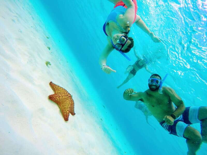 From Cozumel: Starfish, Stingrays and the Turtle Sanctuary - What to Expect from This Snorkeling Adventure
