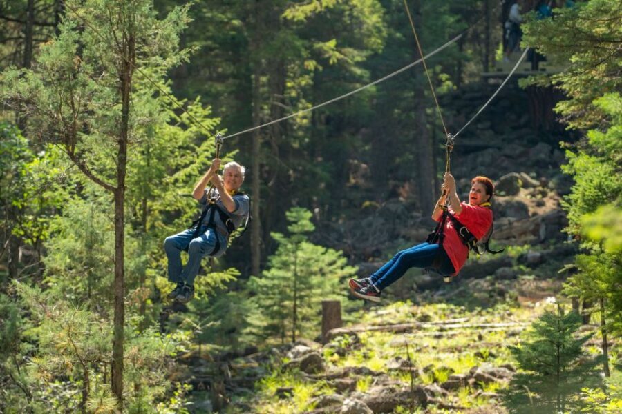 From Durango: All-Day Zipline Adventure with Train & Lunch - The Ziplining Experience: 27 Lines of Pure Thrills