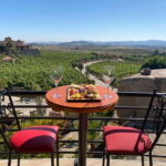 From Ensenada: Wine Tour at Guadalupe Valley Ensenada - Key Points