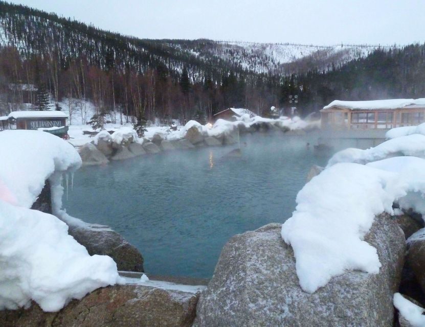 From Fairbanks: Chena Hot Springs Northern Lights Tour - Summing Up: Who Will Love This Tour?