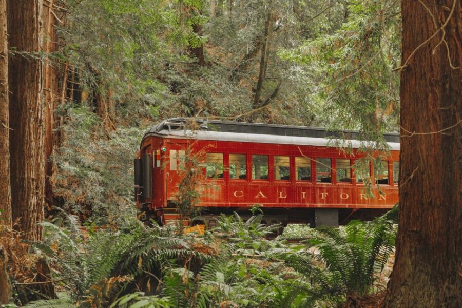 From Fort Bragg: Redwoods Train Ride and Nightclub Ticket - The Experience in Detail