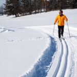 From Gardiner: Guided Yellowstone Cross-Country Skiing Tour - Itinerary Breakdown and Experience Details