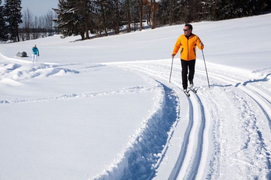 From Gardiner: Guided Yellowstone Cross-Country Skiing Tour - Itinerary Breakdown and Experience Details