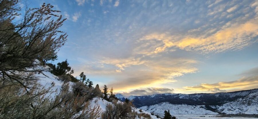 From Gardiner: Yellowstone National Park Snowshoe Tour - Analyzing the Value