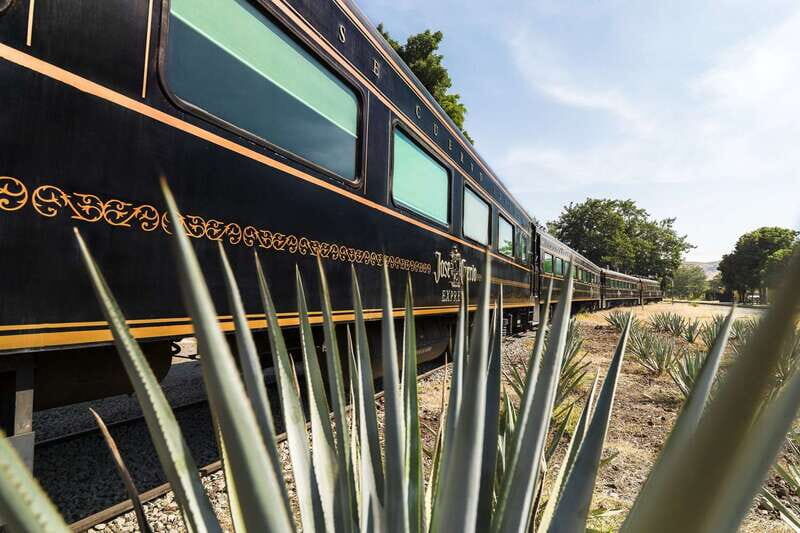 From Guadalajara: La Rojeña Distillery & Jose Cuervo Train - The Real Value for Travelers