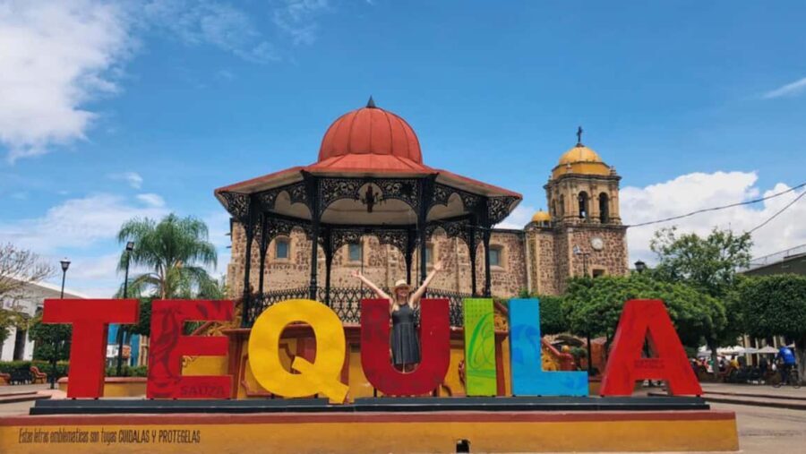 From Guadalajara: Tequila Town and Cantaritos El Guero - Exploring the Agave Fields and Tequila Factory