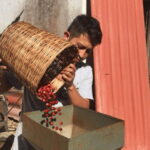 From Huatulco: Coffee and Mezcal Tour - What to Expect