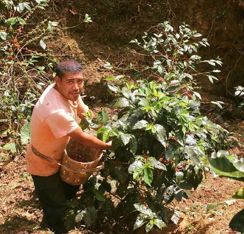From Huatulco: Coffee Private Experience - What’s Included and What’s Not