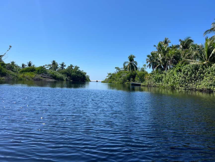 From Huatulco: Crocodile and Turtle Eco-Tour - Practical Considerations and Tips