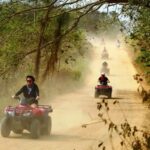 From Huatulco: Jungle and River ATV Tour - The Wildlife & Natural Beauty: What Youll Likely See