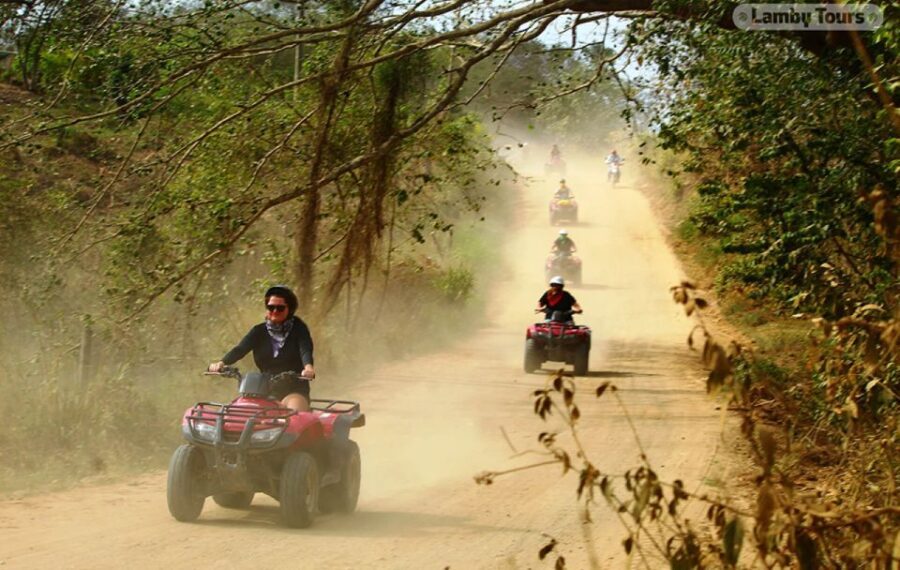 From Huatulco: Jungle and River ATV Tour - The Wildlife & Natural Beauty: What Youll Likely See