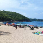 From Huatulco: Snorkel and La Entrega Beach Visit - The Included and Not Included Aspects