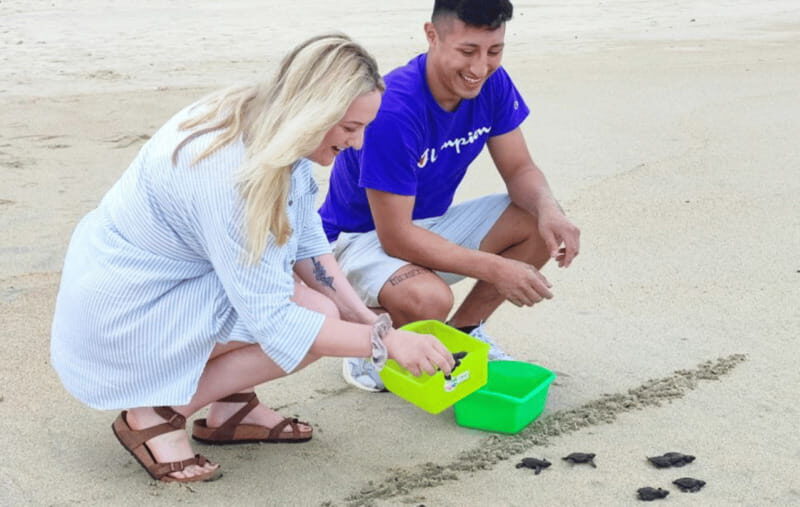 From Huatulco:Turtle Release and Bioluminescence Tour - In-Depth Itinerary Breakdown