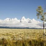 From Jackson: Grand Teton Wildlife & Scenery Tour with Lunch - Authentic Experiences from Travelers
