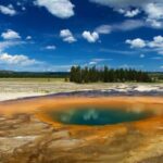 From Jackson: Yellowstone National Park Day Trip with Lunch - The Value of a Guided Yellowstone Experience