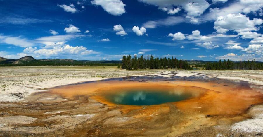 From Jackson: Yellowstone National Park Day Trip with Lunch - The Value of a Guided Yellowstone Experience