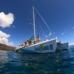 From Ka'anapali: West Maui Half-Day Snorkel Tour w/ Food - The Snorkel Spots: Marine Life and Underwater Wonders