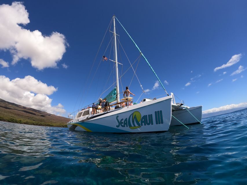 From Ka'anapali: West Maui Half-Day Snorkel Tour w/ Food - The Snorkel Spots: Marine Life and Underwater Wonders