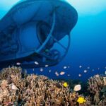 From Kona: Big Island Underwater Submarine Adventure - A Closer Look at the Underwater Adventure
