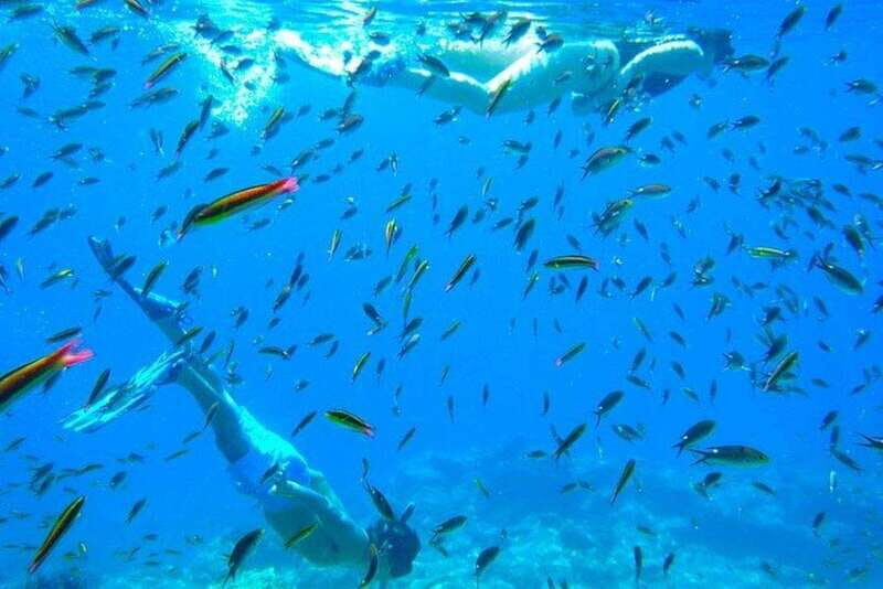 From La Paz: Espiritu Santo Island Adventure - What Makes this Tour Stand Out?