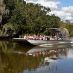 From Lafitte: Swamp Tours South of New Orleans by Airboat - The boat ride: a highlight of the tour
