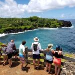 From Lahaina, Maui: Road to Hana Tour - Transportation and Group Dynamics