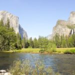 From Lake Tahoe: Yosemite National Park Day Trip with Lunch - Authentic Feedback and What It Tells Us